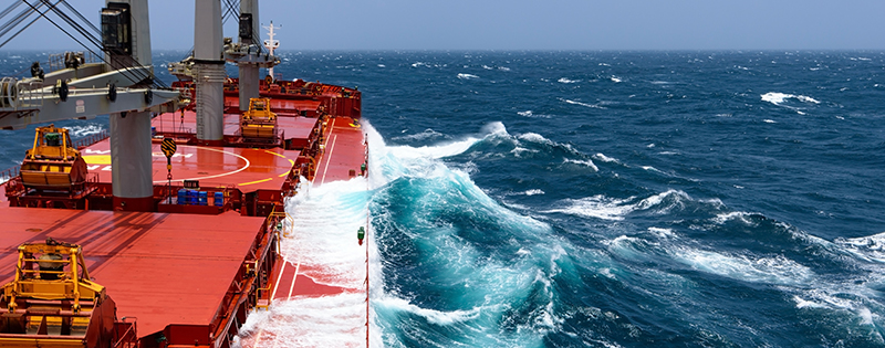 Focus: Weathertightness - The Swedish Club