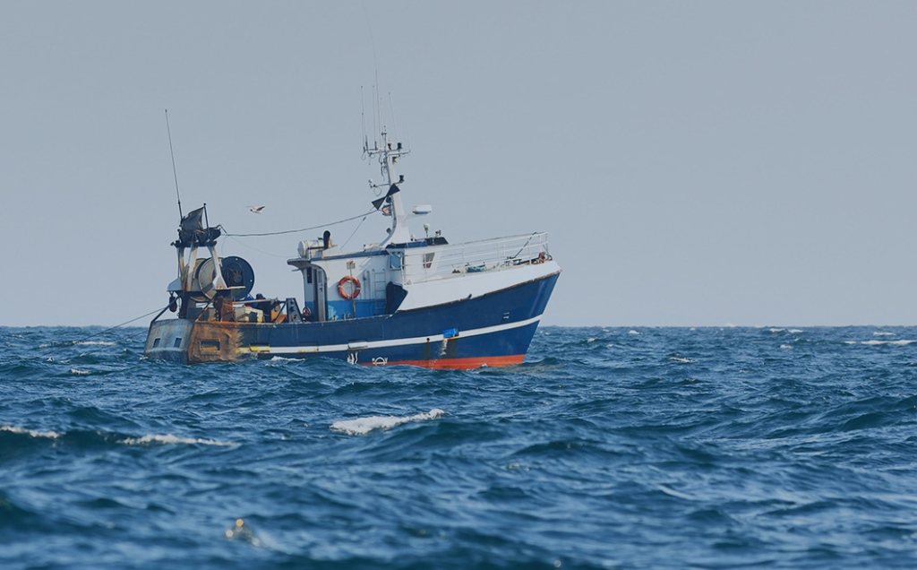 Small Craft - The Swedish Club